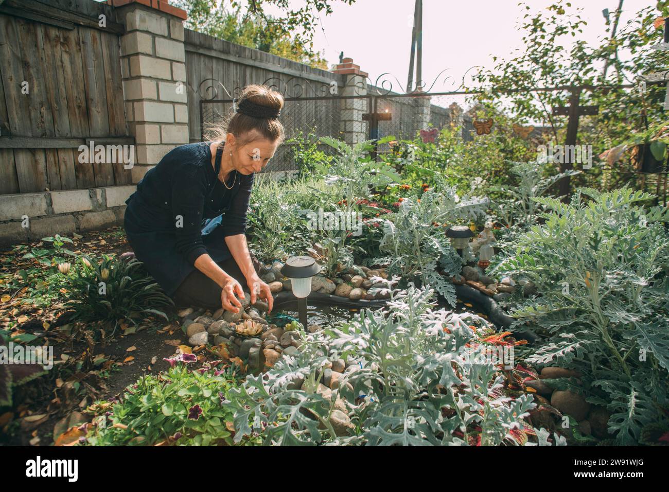 Woman kneeling and decorating garden pond in back yard Stock Photo - Alamy