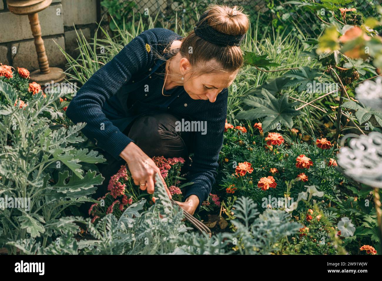 Woman digging with gardening fork in garden Stock Photo - Alamy