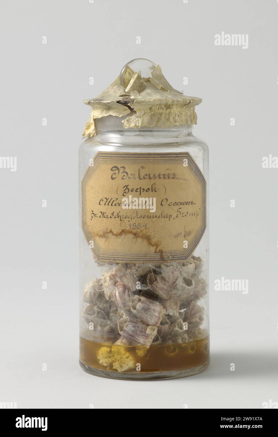 Glass Jar with Barnacles, anonymous, 1884 pot. sample Sample of soaps ...