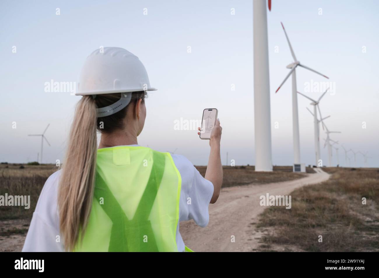 Engineer examining diagram on smart phone and wind turbines at field ...