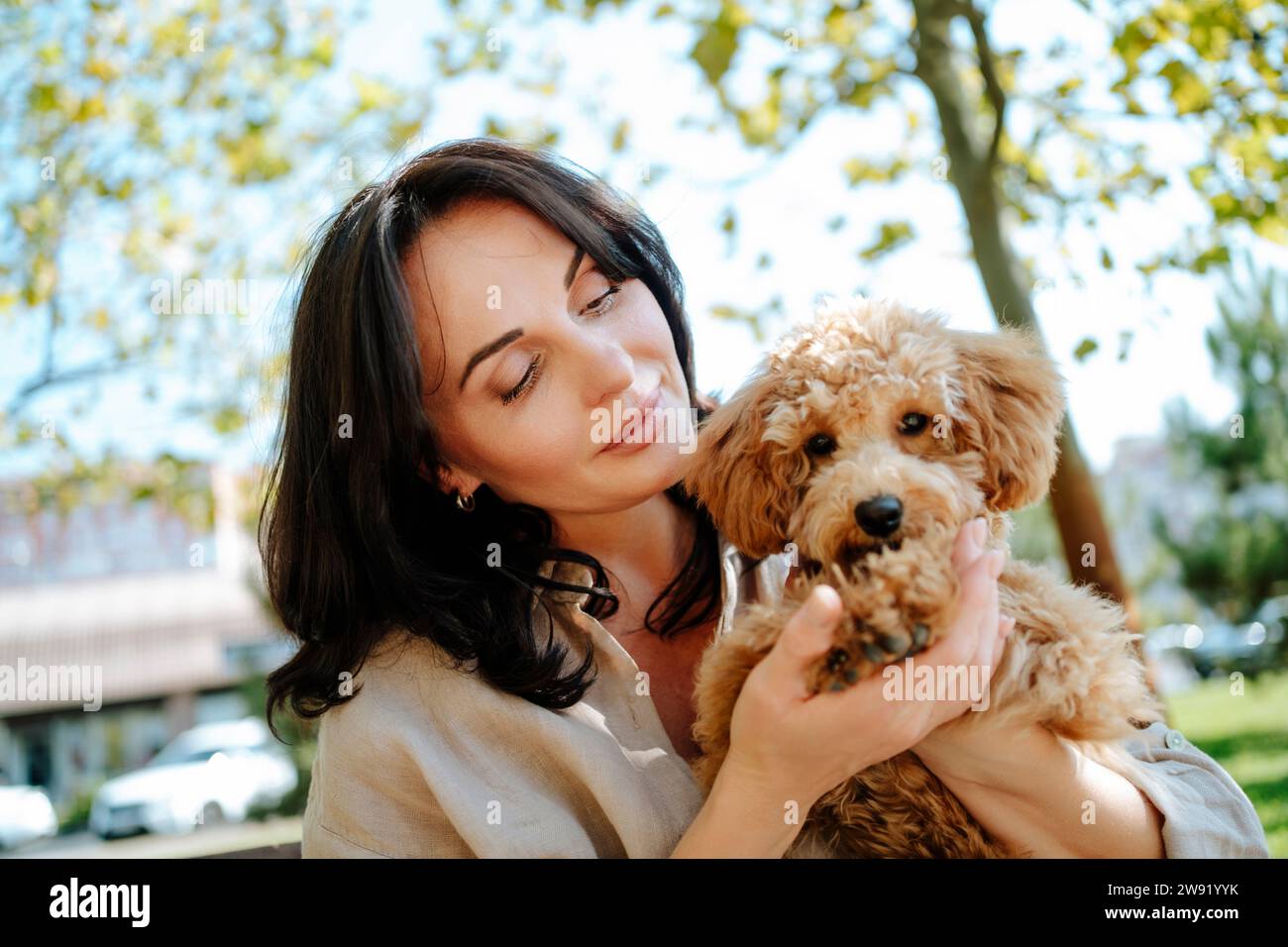 Woman with poodle hi-res stock photography and images - Alamy