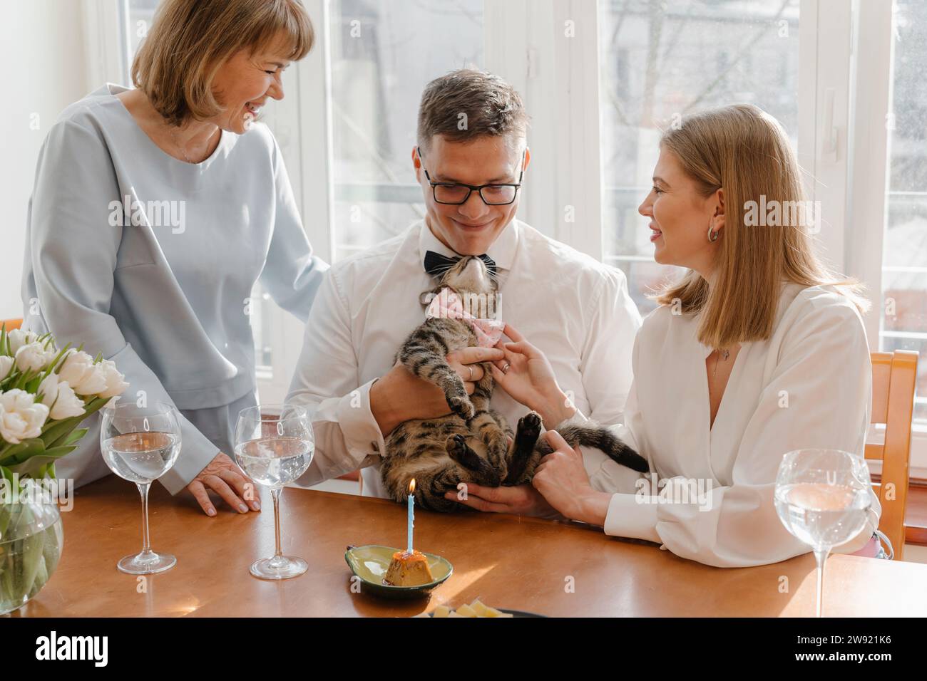 Cat celebrating birthday hi-res stock photography and images - Alamy