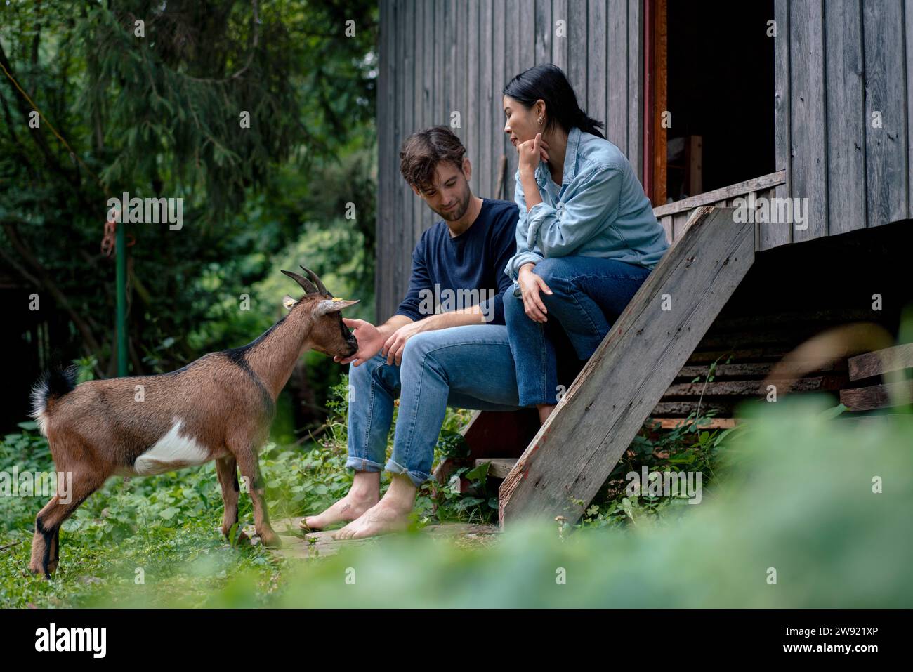 Goat log hi-res stock photography and images - Alamy