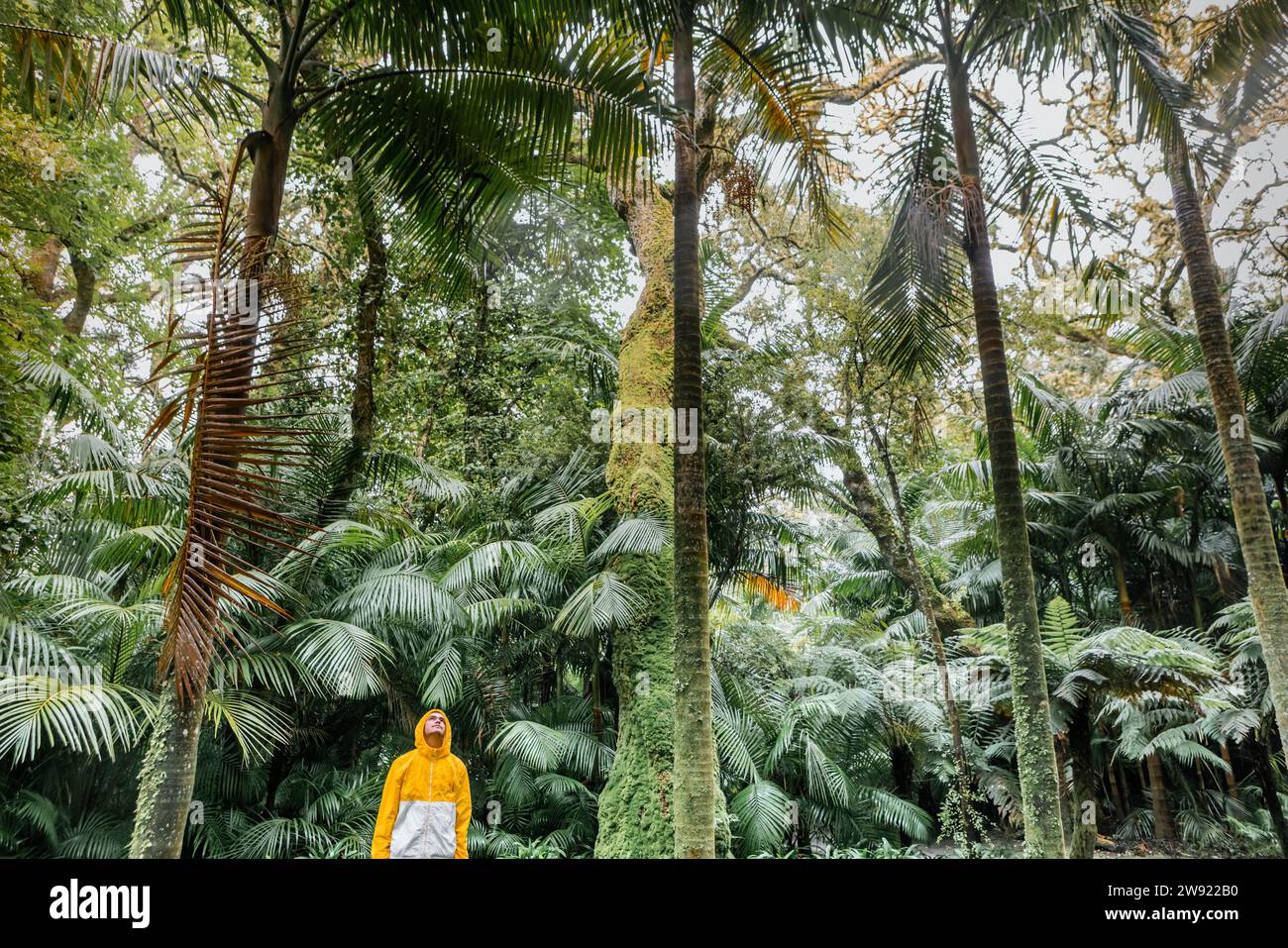 Man under trees hi-res stock photography and images - Alamy