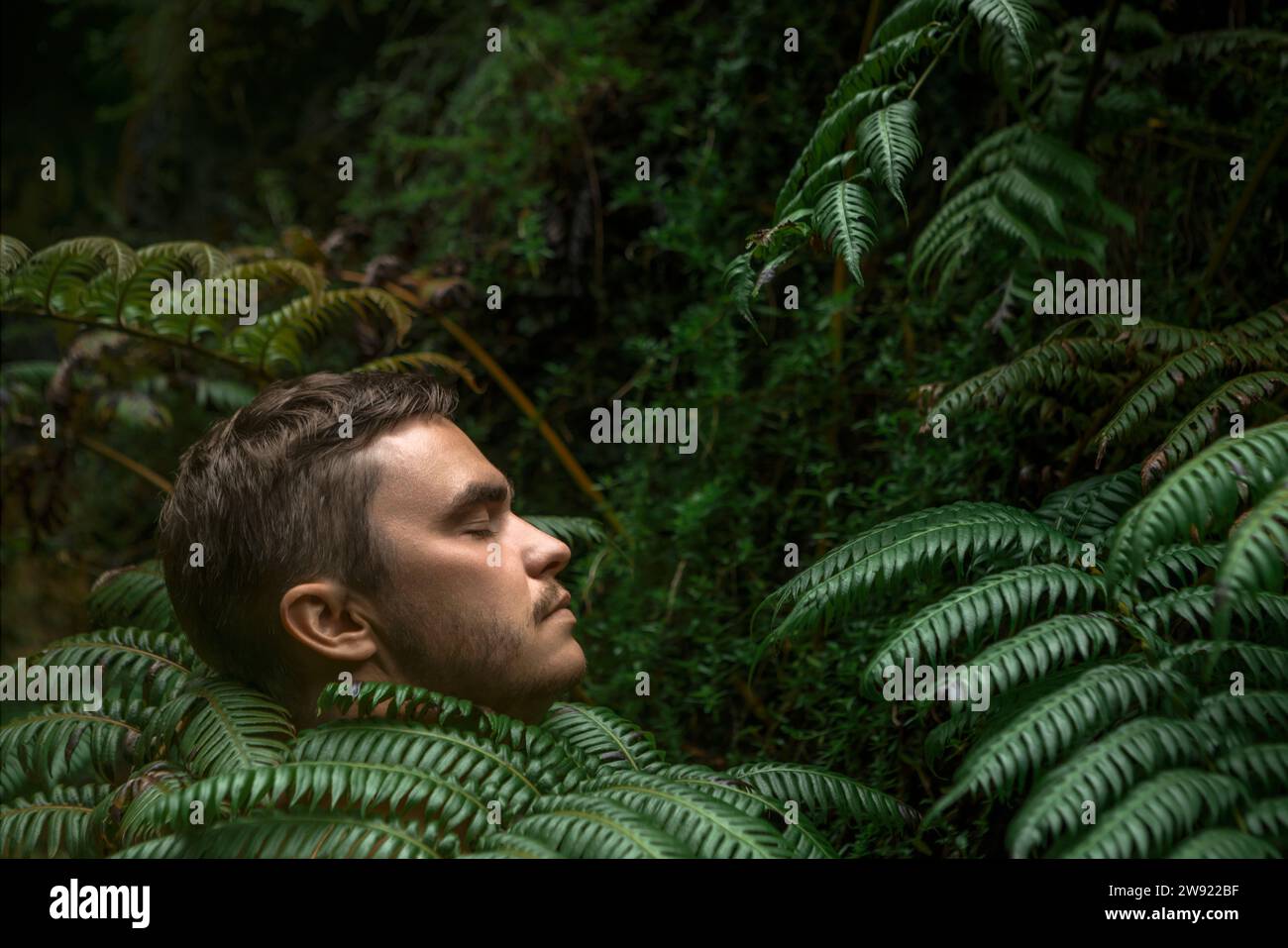 Man with eyes closed amidst fern plants Stock Photo - Alamy