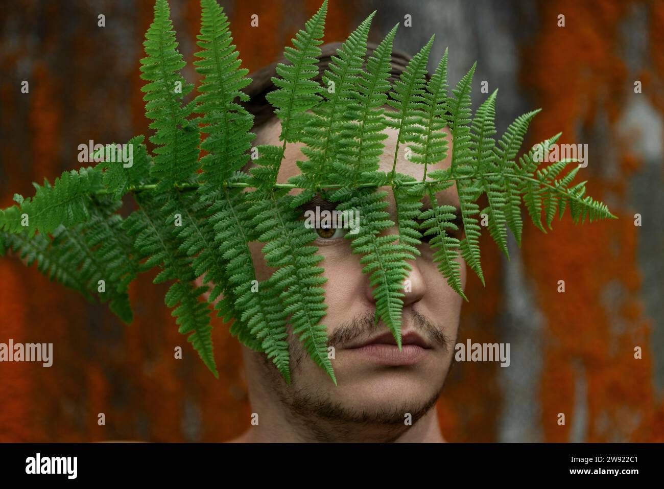 Leaf face hi-res stock photography and images - Alamy