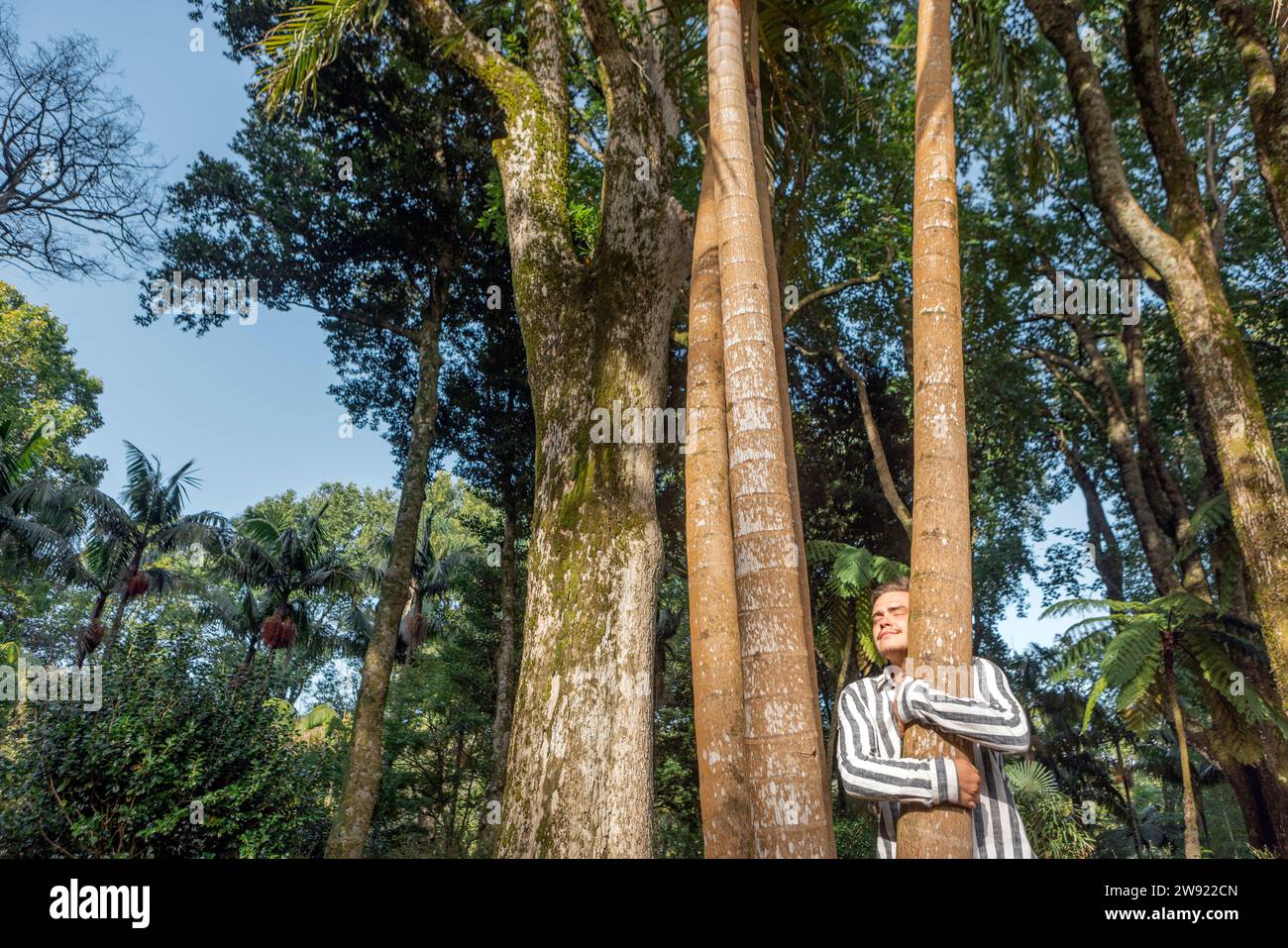 Man in tall tree hi-res stock photography and images - Alamy