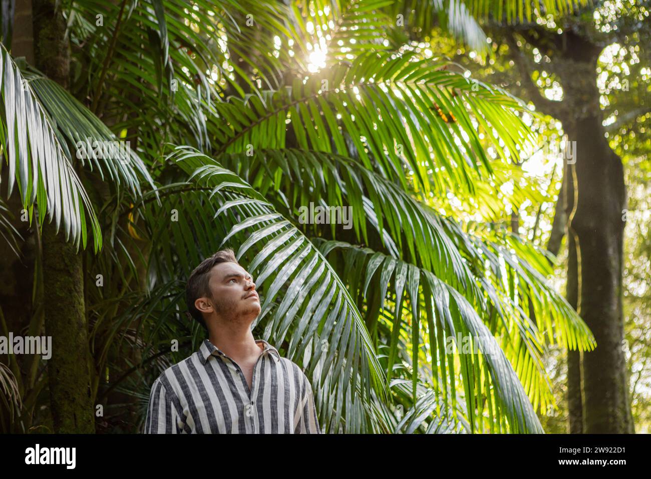 Palm trees man hi-res stock photography and images - Alamy