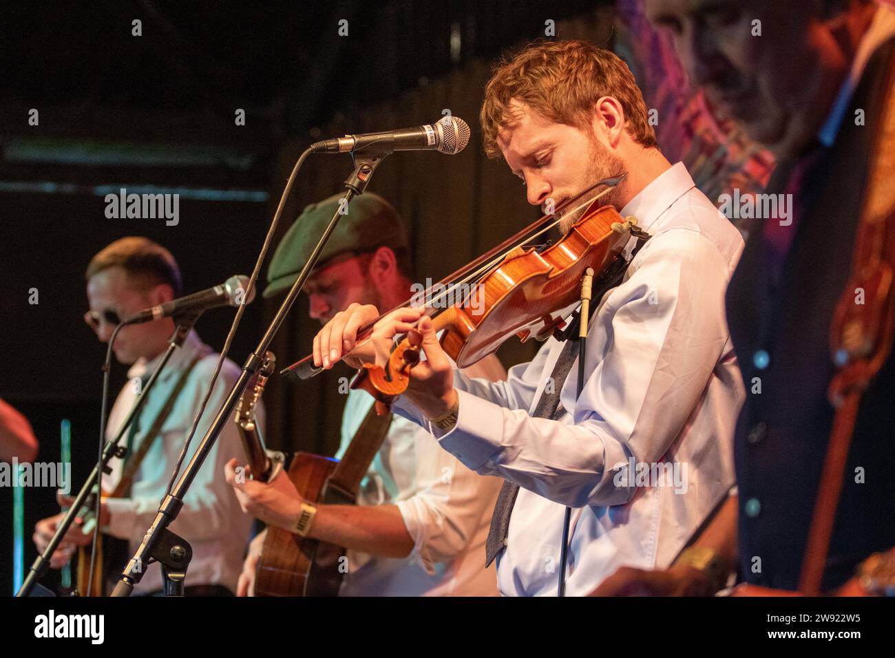 British bluegrass and Americana band The Lowly Strung on the Peacock ...