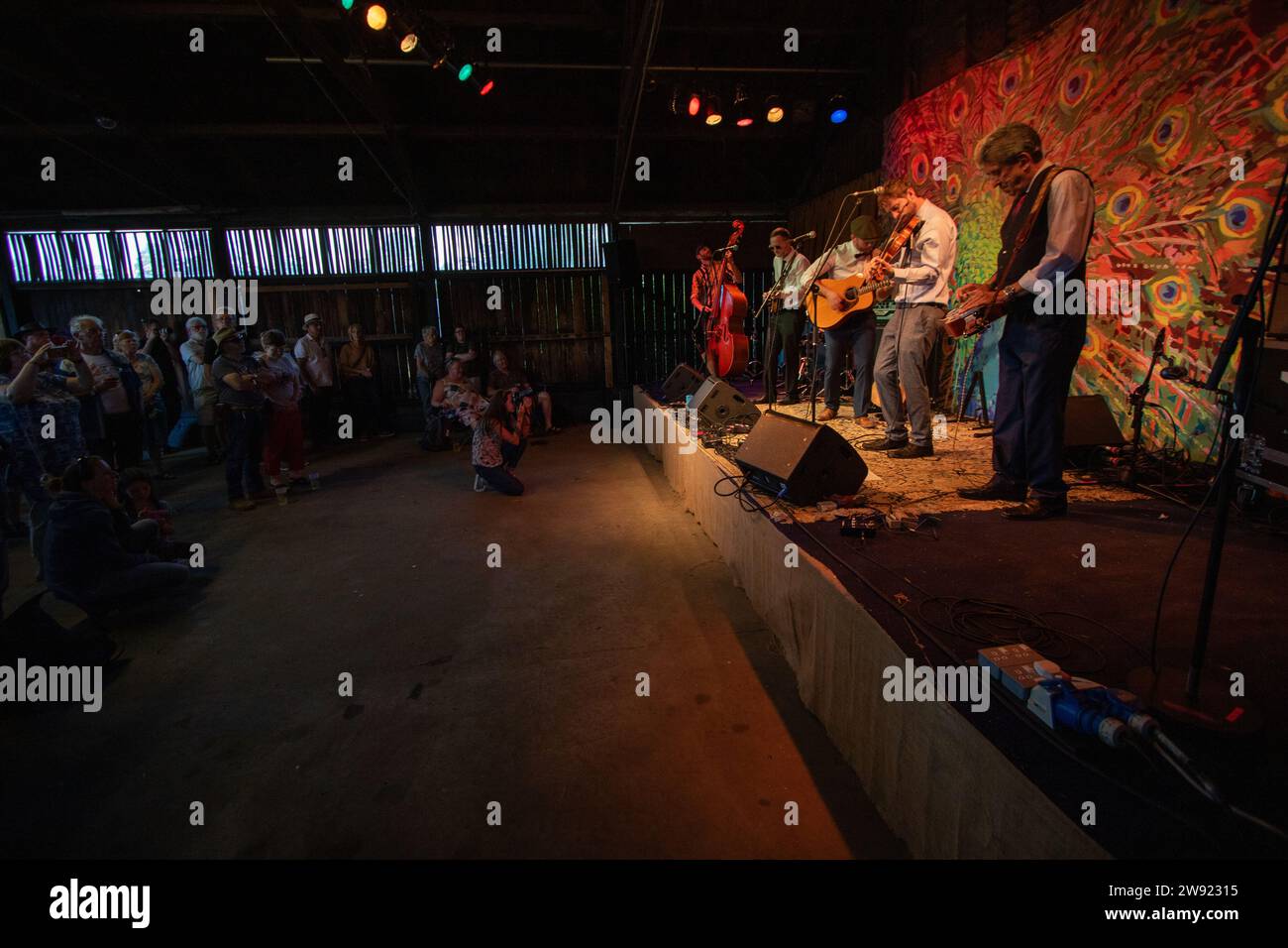 British bluegrass and Americana band The Lowly Strung on the Peacock ...