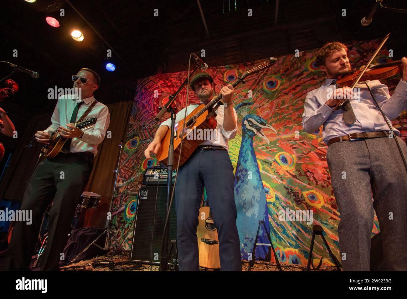 British bluegrass and Americana band The Lowly Strung on the Peacock ...