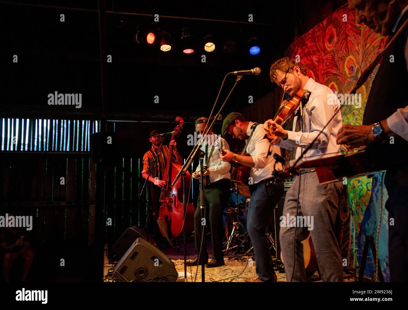 British bluegrass and Americana band The Lowly Strung on the Peacock ...