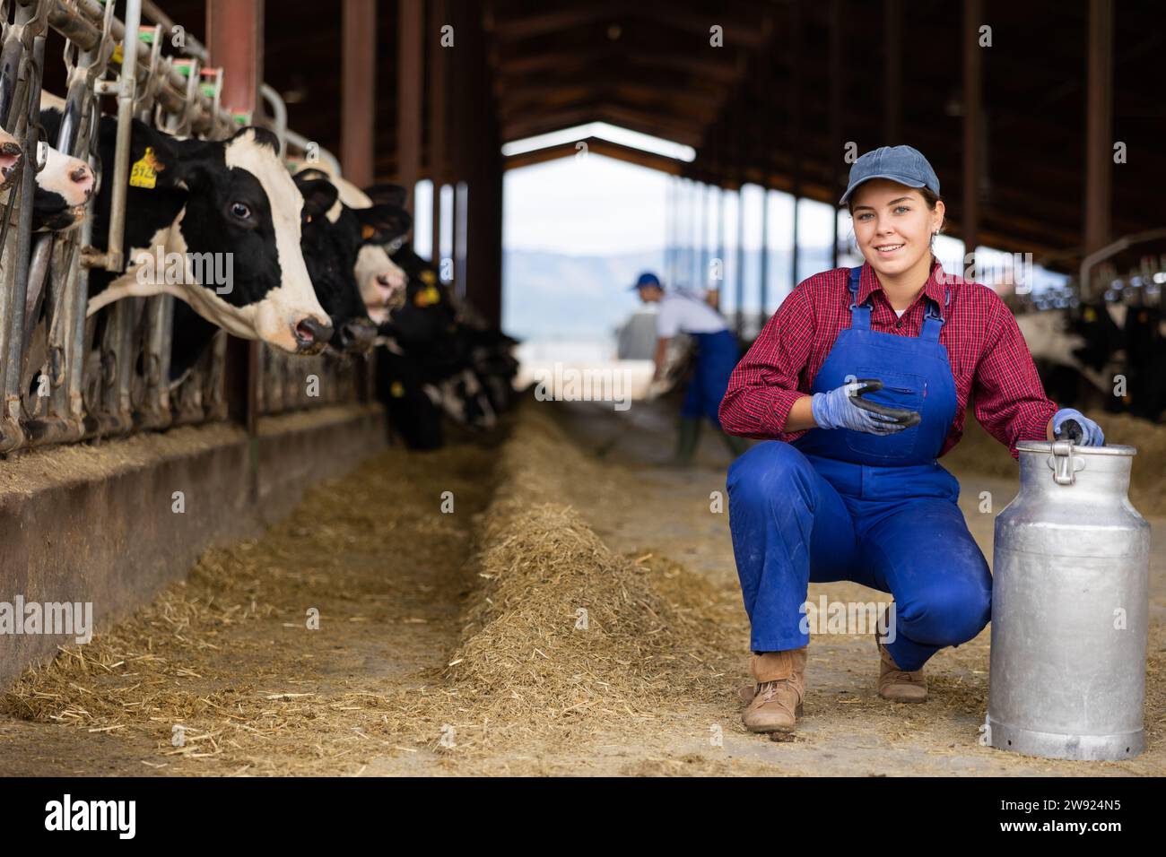 Young positive female farmer carrying milk churn near stall with cows ...
