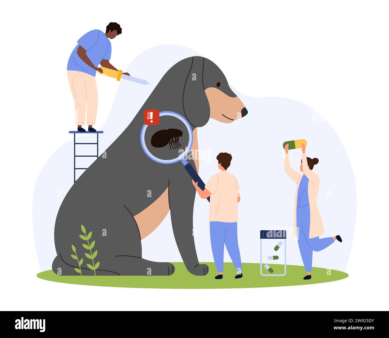 Diagnosis and treatment of flea infestation in veterinary clinic. Tiny ...