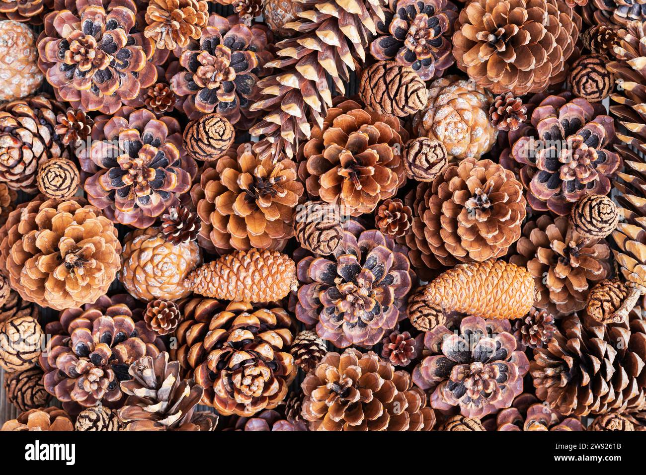 Various cones hi-res stock photography and images - Alamy