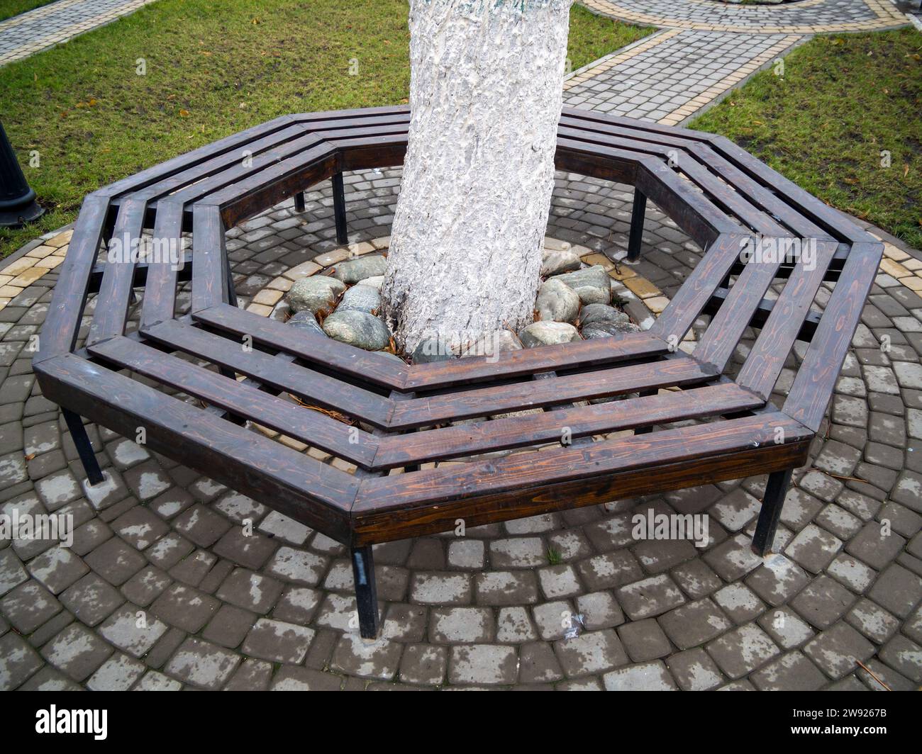 An octagonal bench surrounding a tree trunk Stock Photo - Alamy