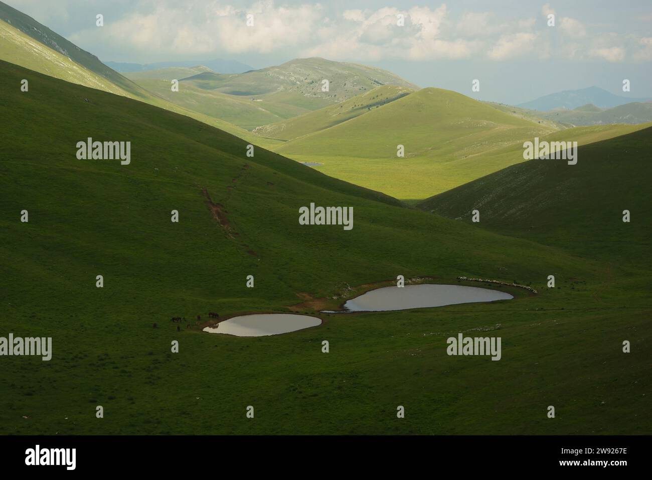 Small mountain lakes that serve as watering places for animals on long ...
