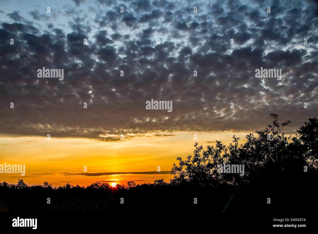 Sunrise on the summer solstice, June 21. The shortest night and longest ...