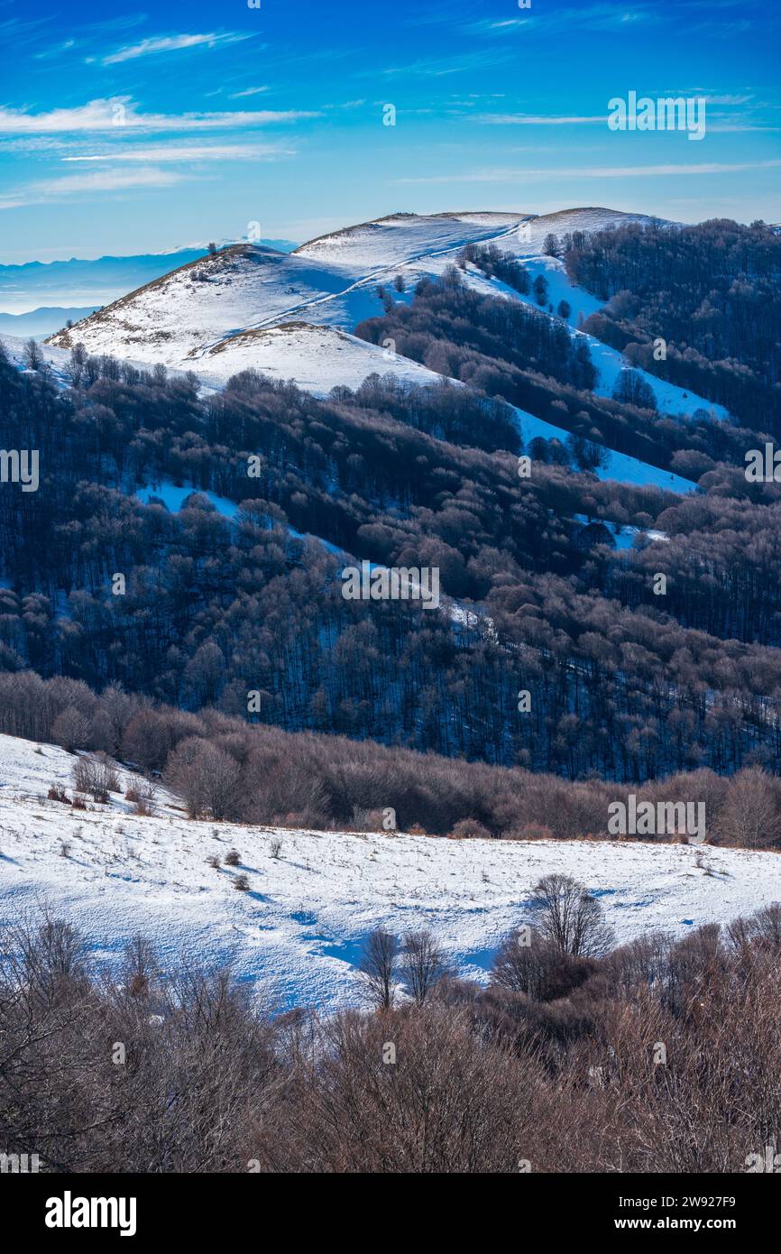 Winter landscape Snow mountain with trees. Blue sky with clouds ...