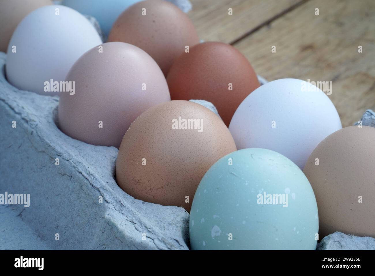 09.04.2023 Marl Eier mit verschiedenen Farben in einem Eierkarton ...