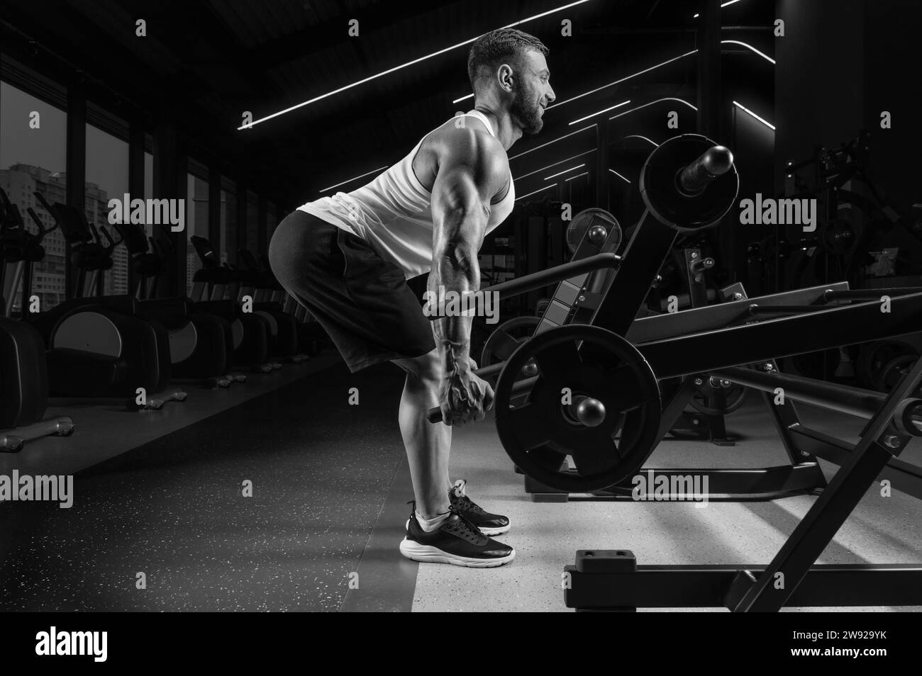 Handsome young man pumps his back in a special machine. Deadlifting ...