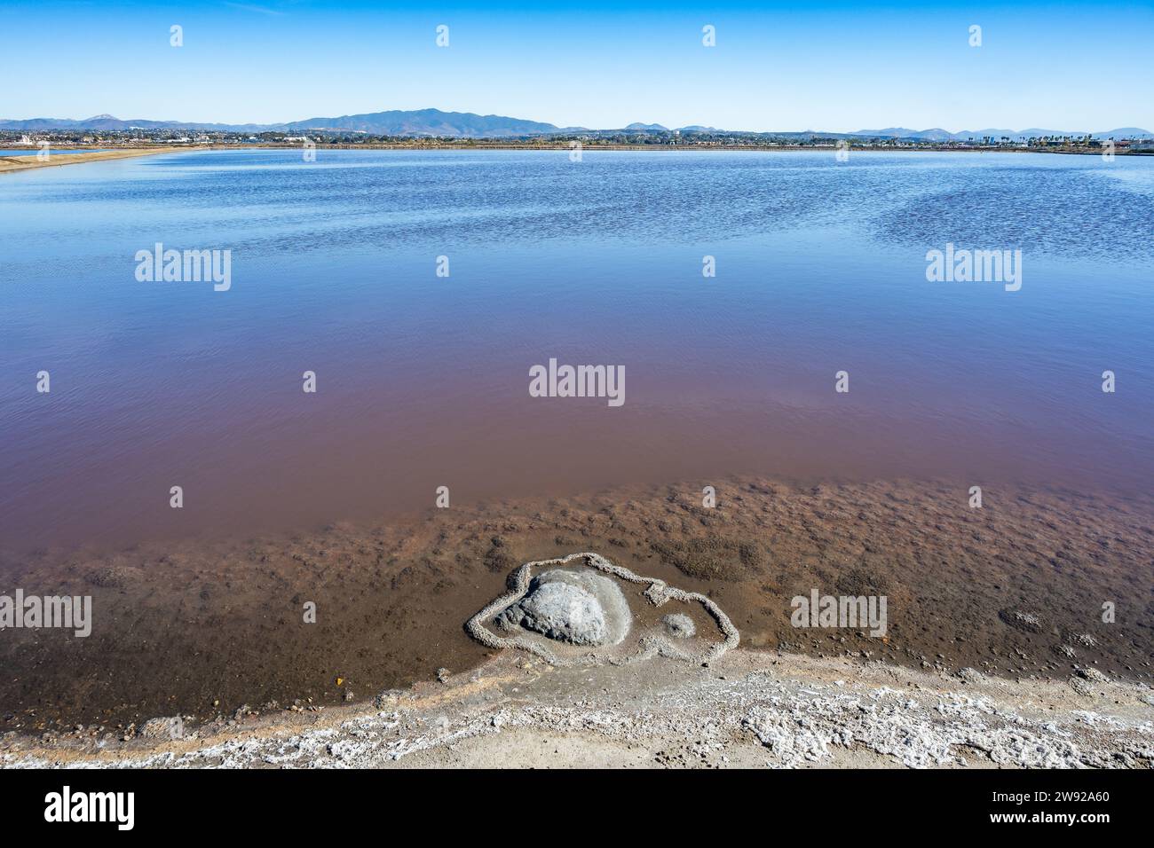 Halite (NaCl) crystals formed on the edge of a salt evaporation pond ...