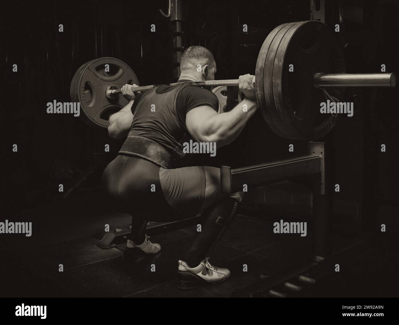 Professional athlete makes squats with a bar in the gym Stock Photo - Alamy