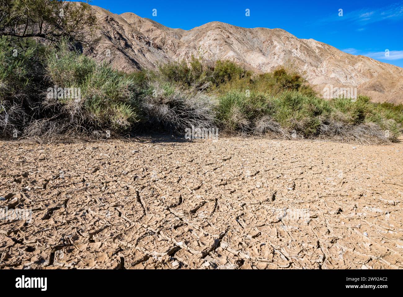 Mud chips crack on a dried river bed in desert. California, USA Stock ...