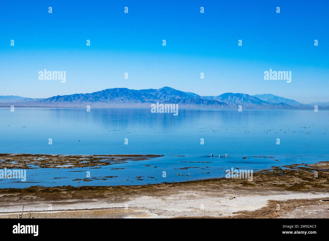 Salton Sea, an inland lake of saline water in Southern California, USA ...