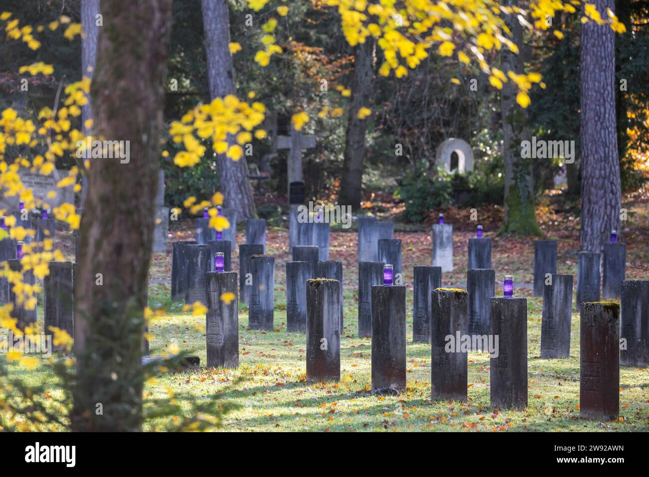 Cemetery for fallen soldiers of the world wars, symbolic photo for the ...