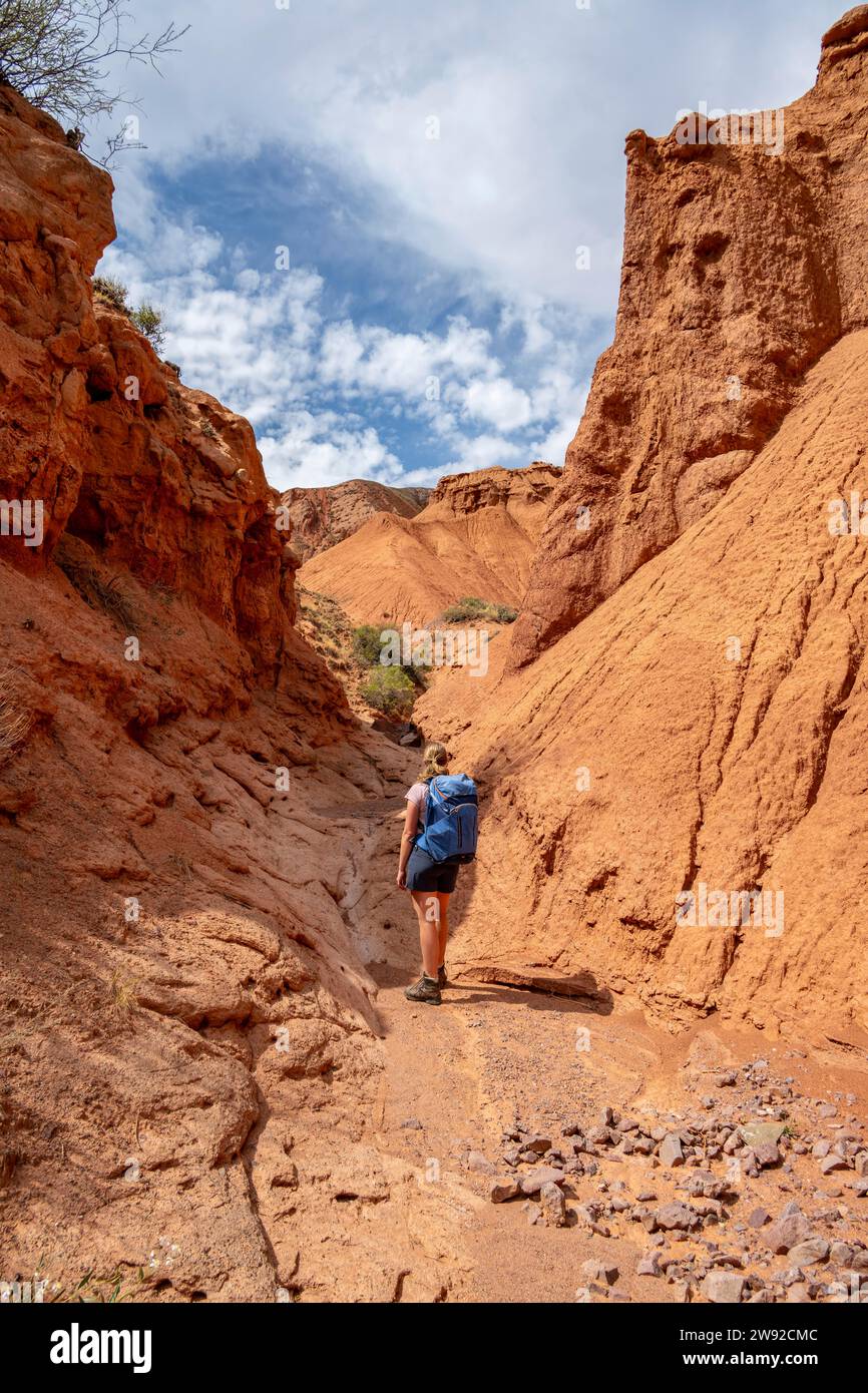 Climber in a canyon with a dry stream bed, eroded mountain landscape ...