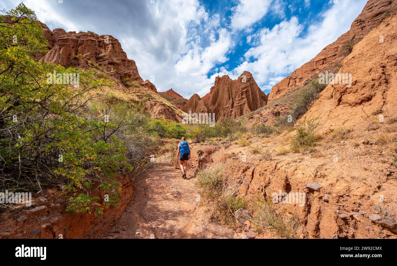 Climber in a canyon with a dry stream bed, eroded mountain landscape ...