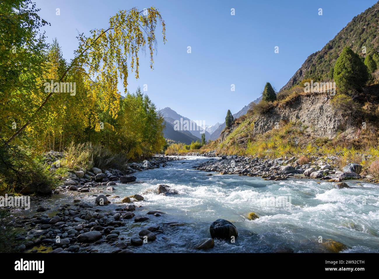 Mountain stream Ala Archa flows through the Ala Archa valley, autumnal ...