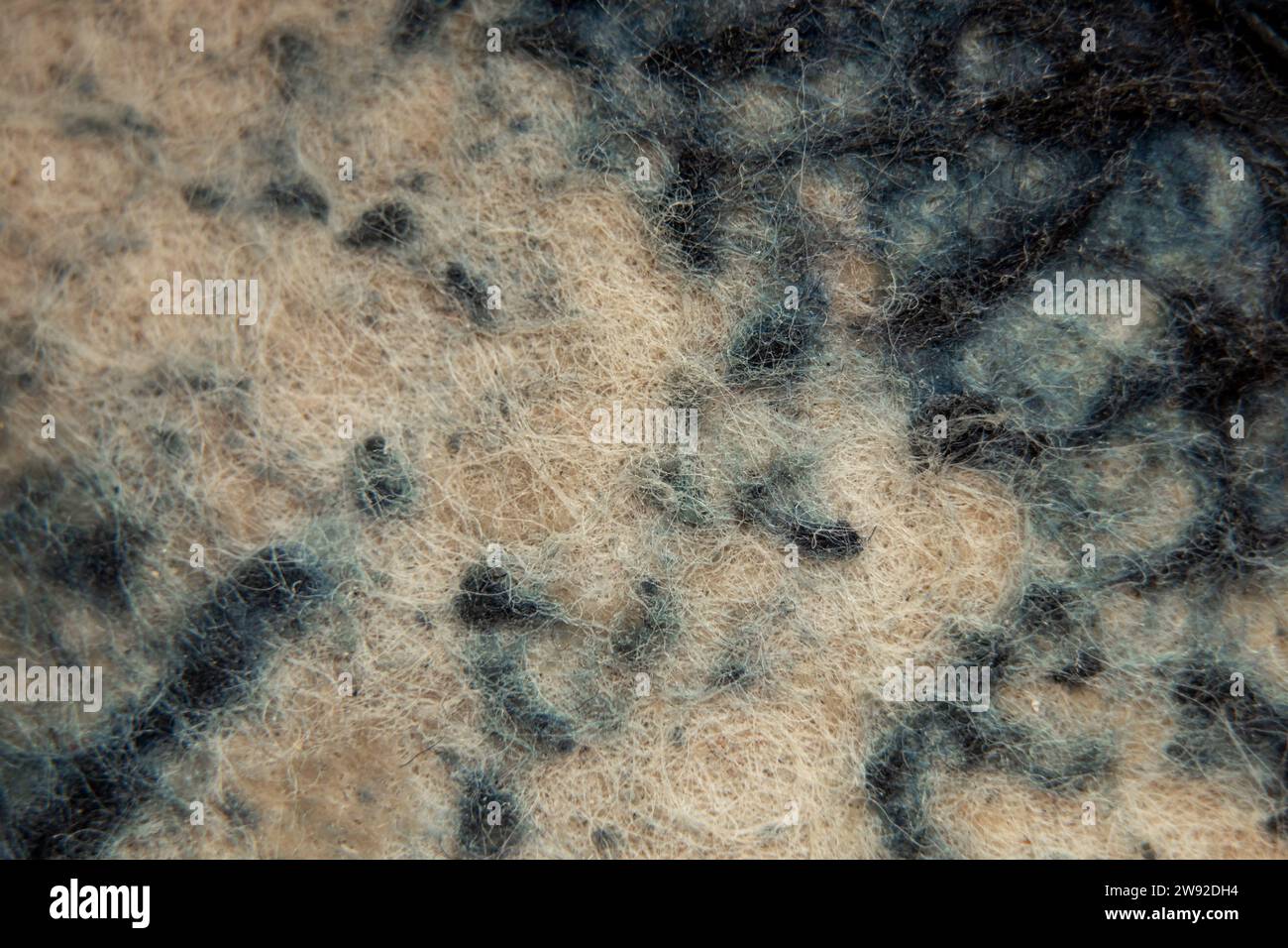 White-blue fleecy spotted background macro photo, background of fleecy ...