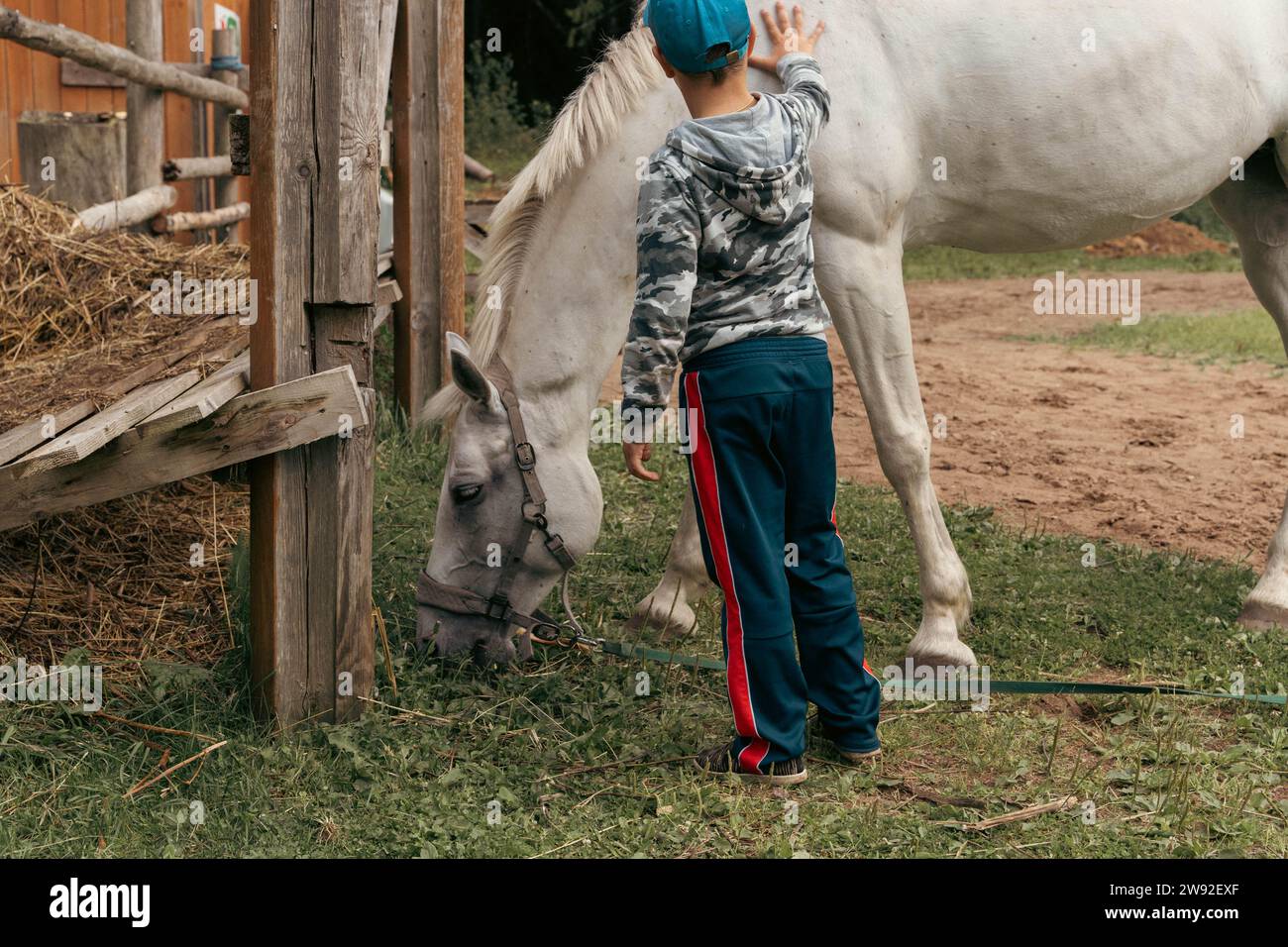 Communication between children and animals. Animal therapy. A boy and a ...