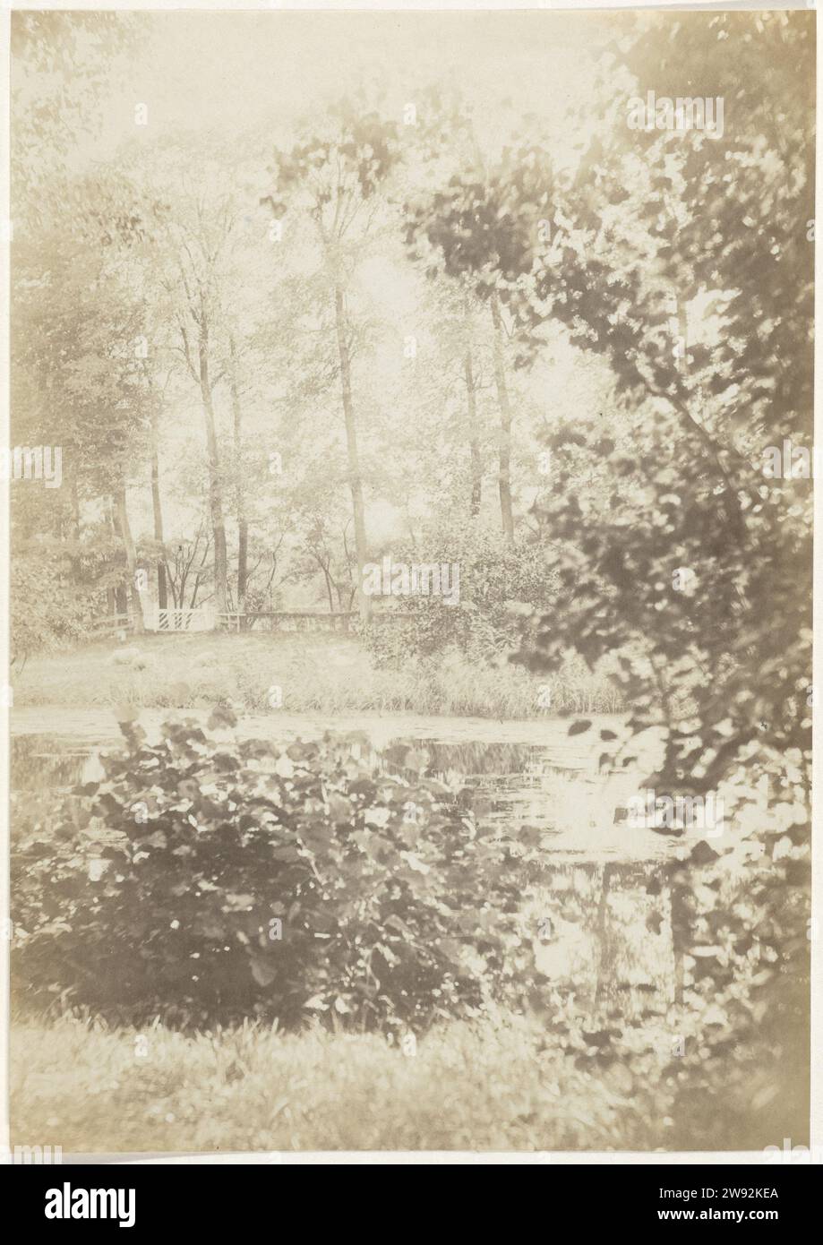 Forest landscape with more, anonymous, c. 1880 - c. 1900 photograph ...