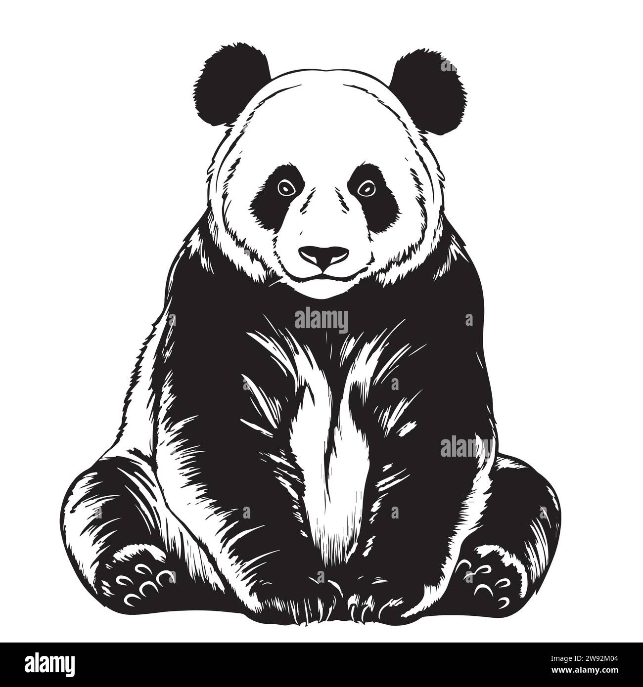 Panda cartoon hand drawn sketch Vector illustration, Wild animals ...
