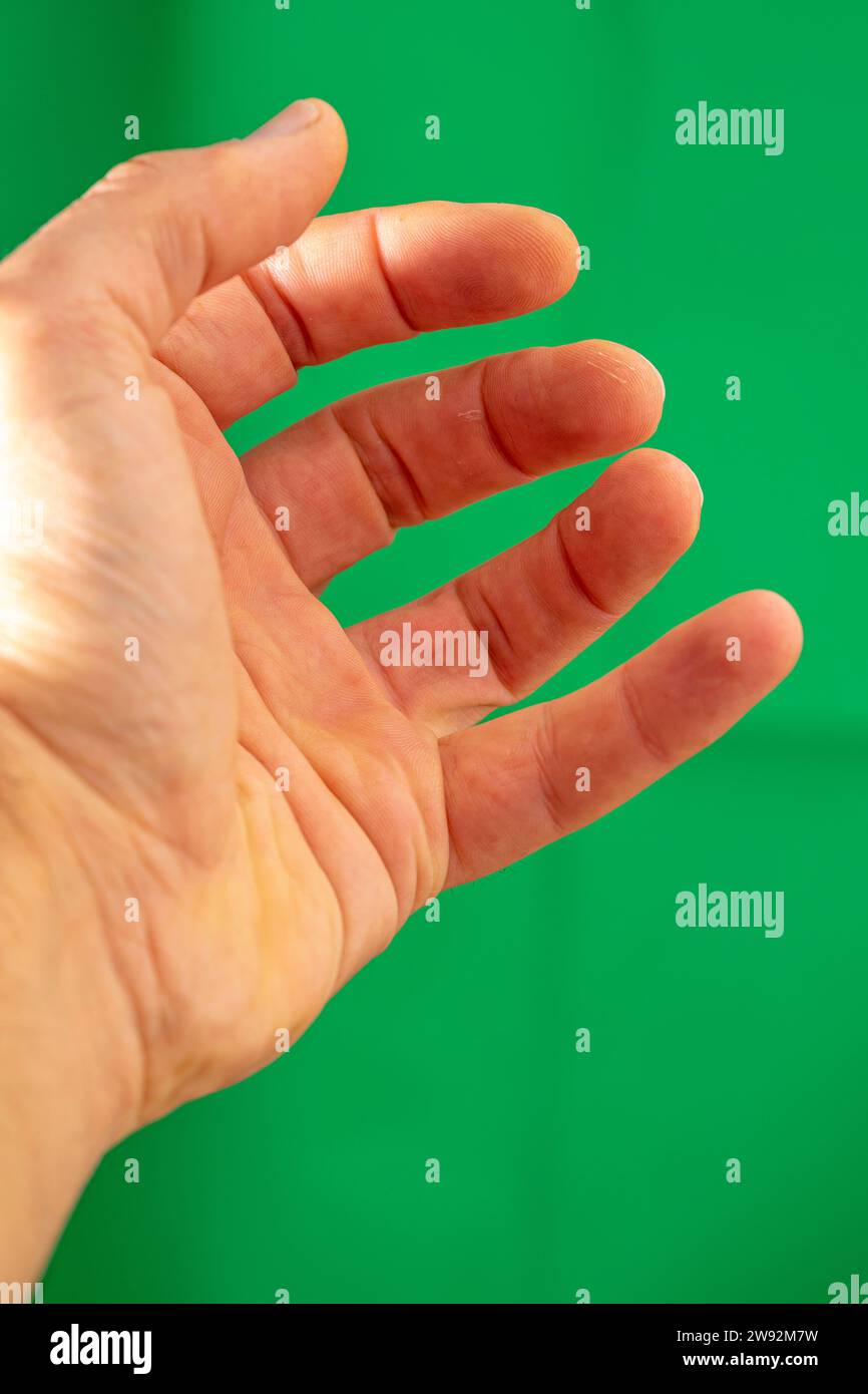 open human palm with 5 fingers under green background Stock Photo - Alamy
