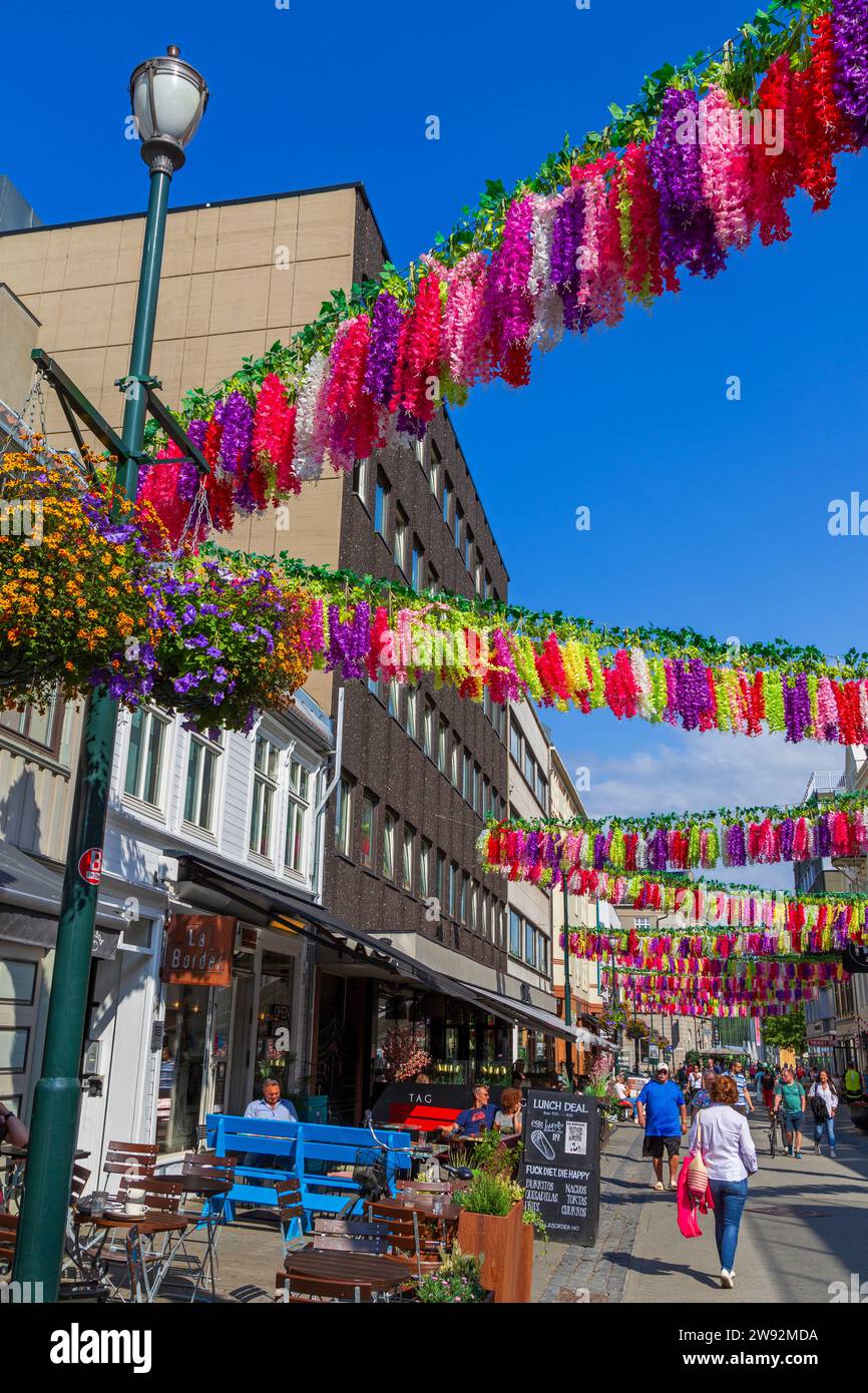 Thomas Angells Gate, Midtbyen, Trondheim, Trondelag County, Norway ...