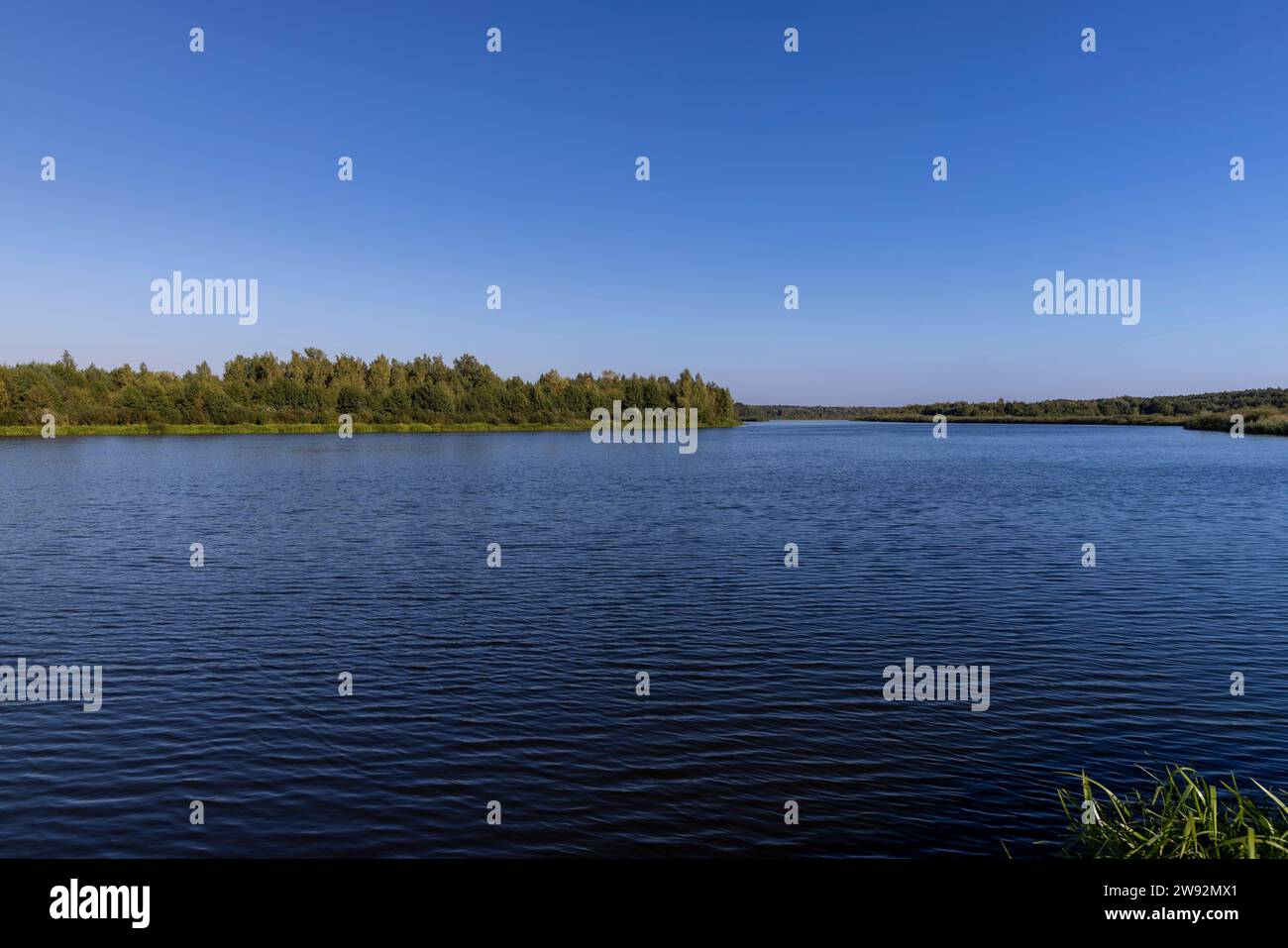 a wide river in sunny weather in early autumn, a beautiful river with ...