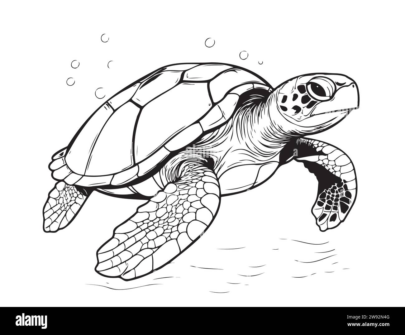 Sea turtle hand drawn engraving style sketch Underwater animals Vector ...