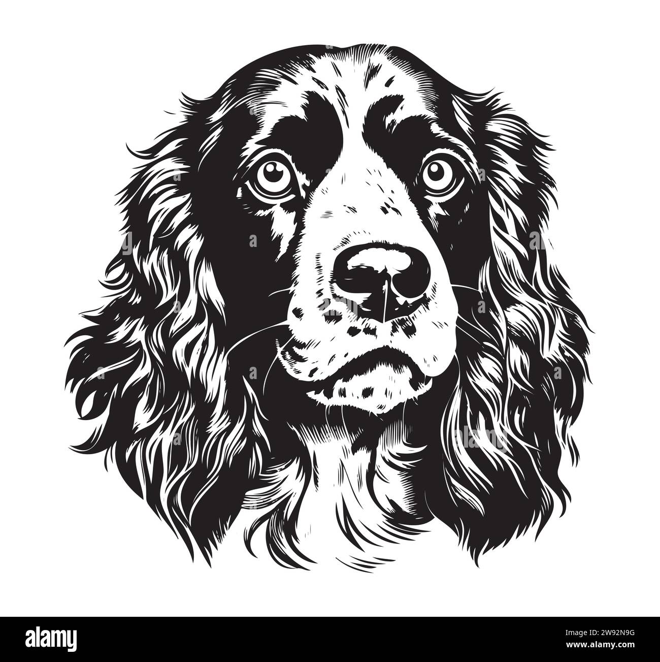 Dog breed Cocker Spaniel muzzle, sketch vector graphics black and white ...