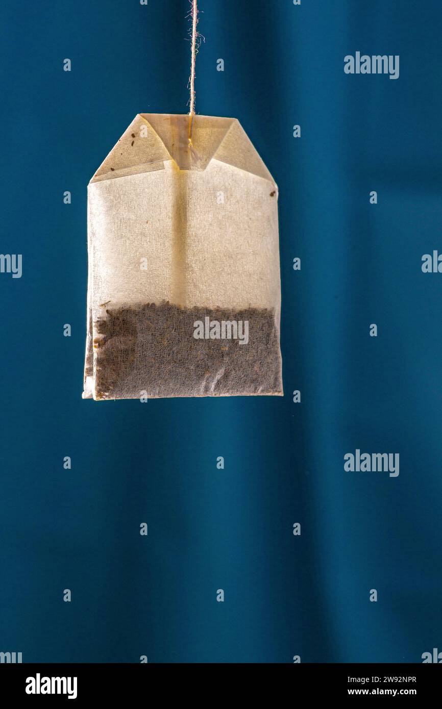 white translucent tea or infusion sachet on blue color background Stock ...