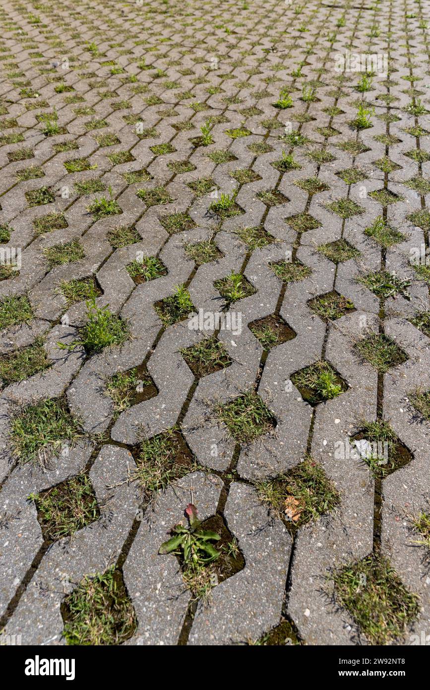 a tile with grass growing in it, a modern concrete tile that allows ...