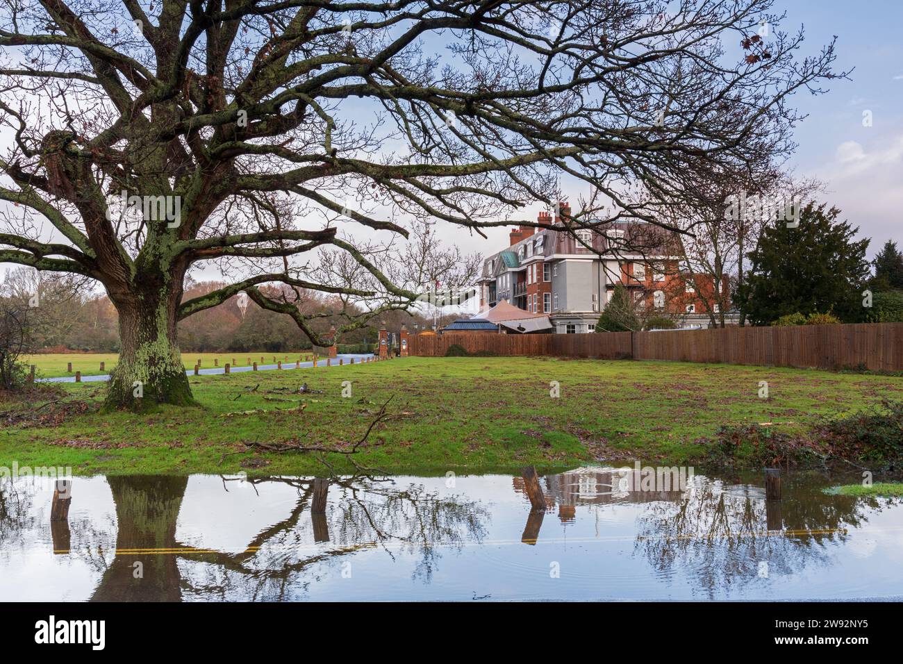 Balmer Lawn Hotel, Brockenhurst, New Forest Stock Photo - Alamy