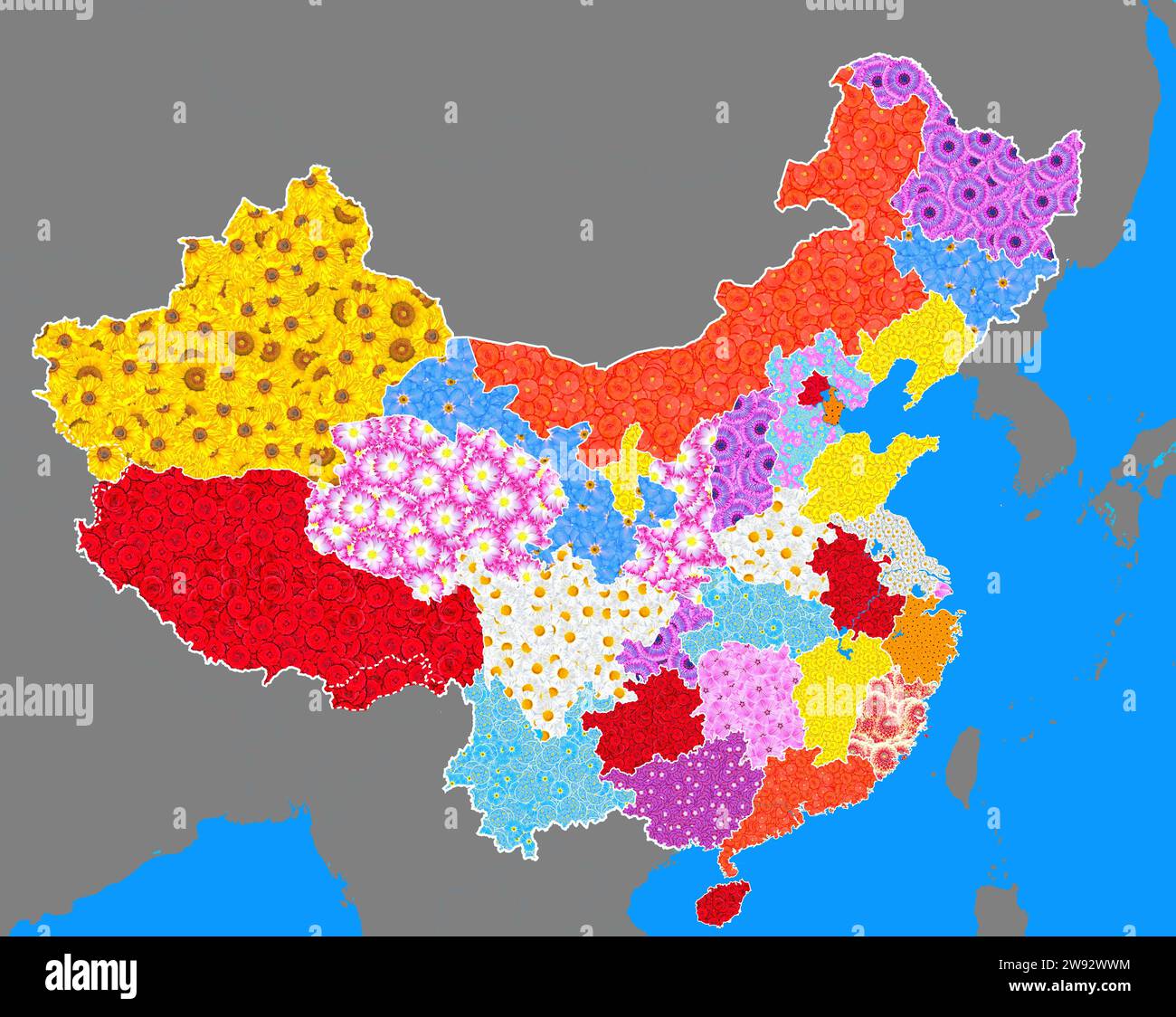 Map of China with all provinces, flower pattern, graphic, atlas, symbol ...