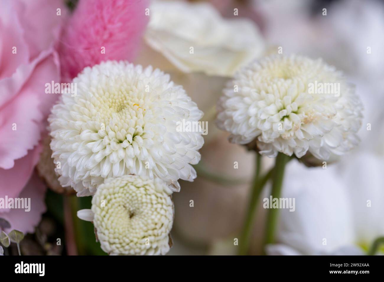 used to create a bouquet of old flowers with defects, a large number of ...