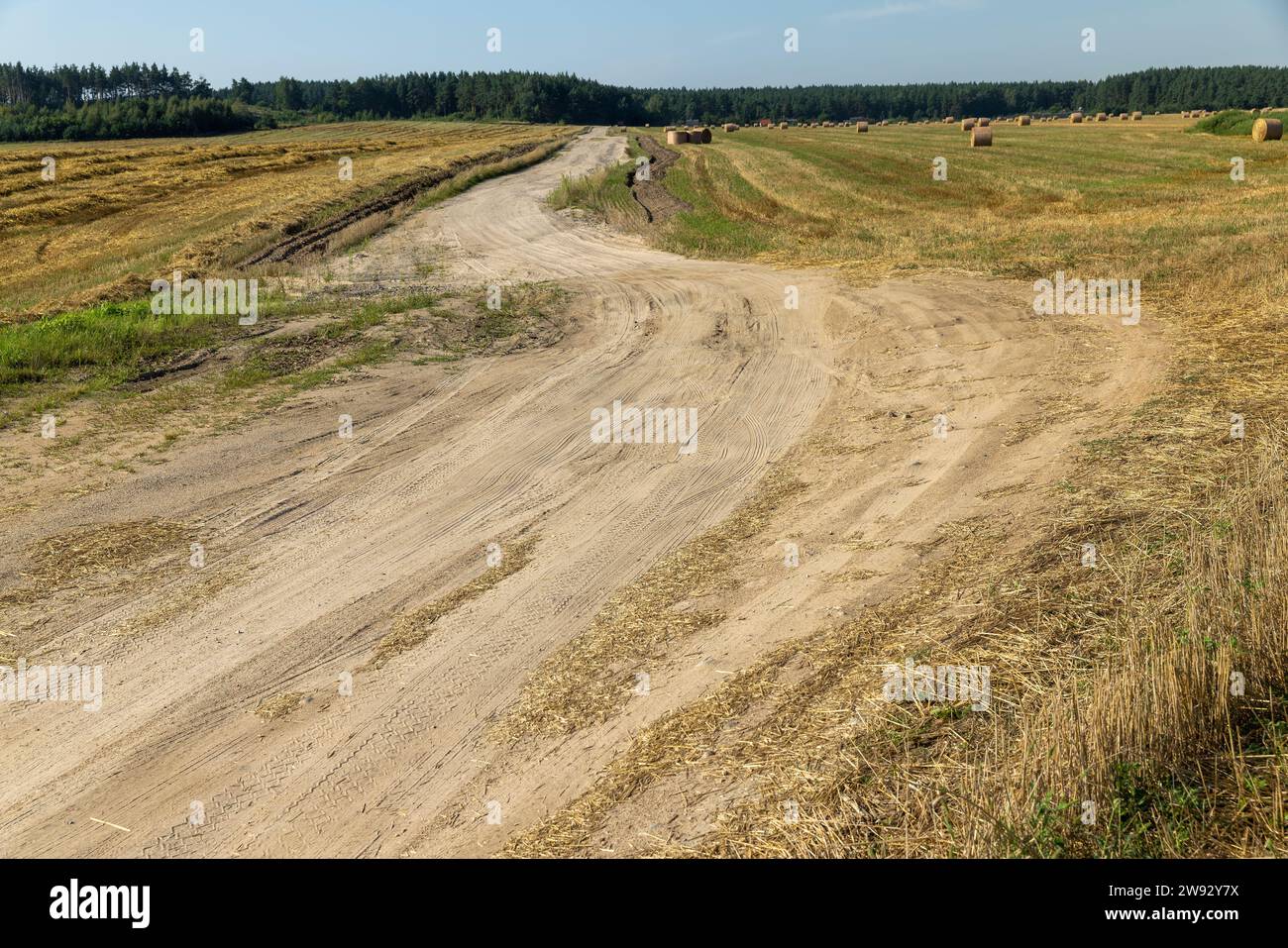 Rural road for cars and transport, ruts and traces of cars on a sandy ...