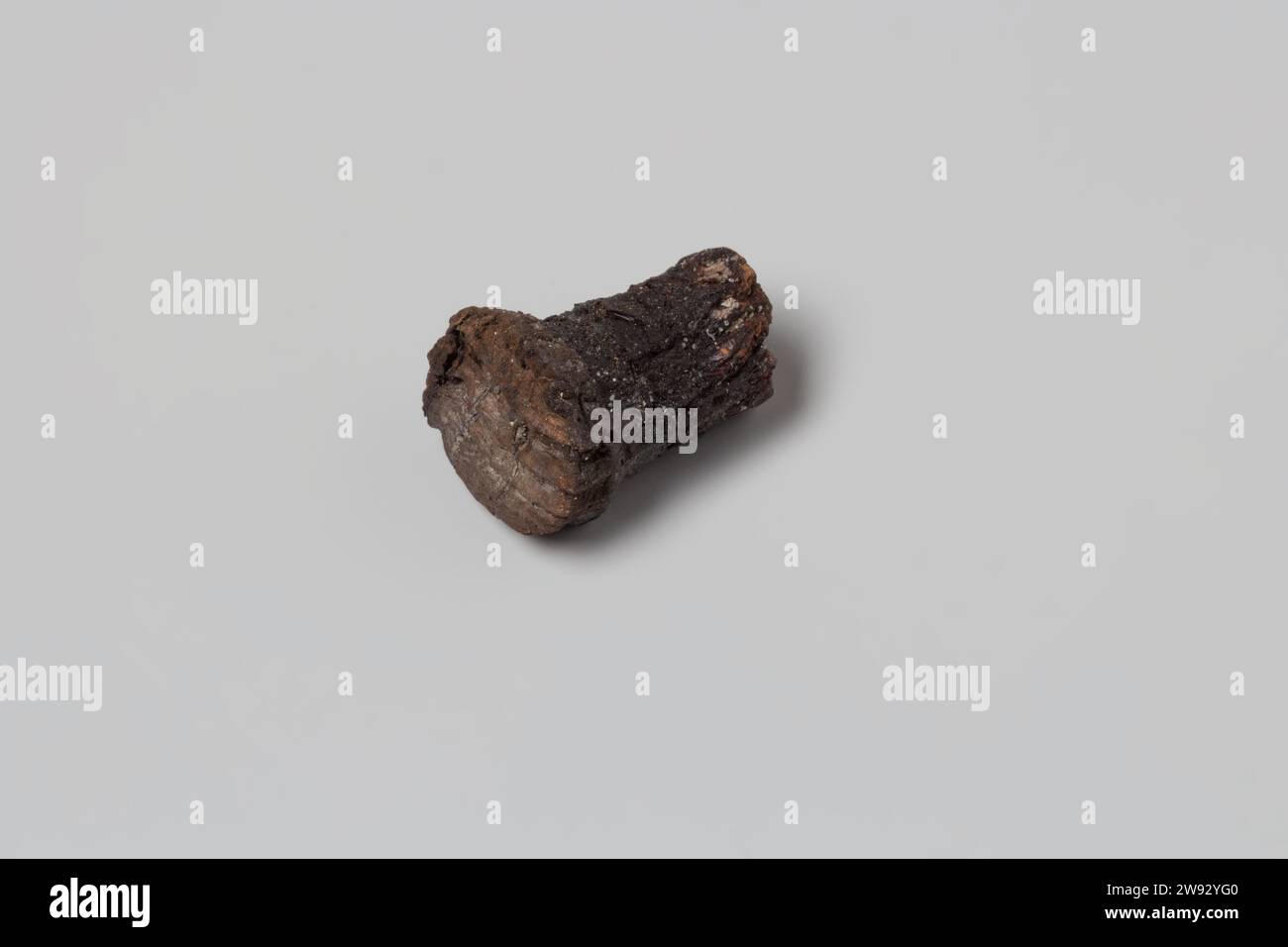 Wine bottle cork from the wreck of the East Indians' t Vliegend Hart ...