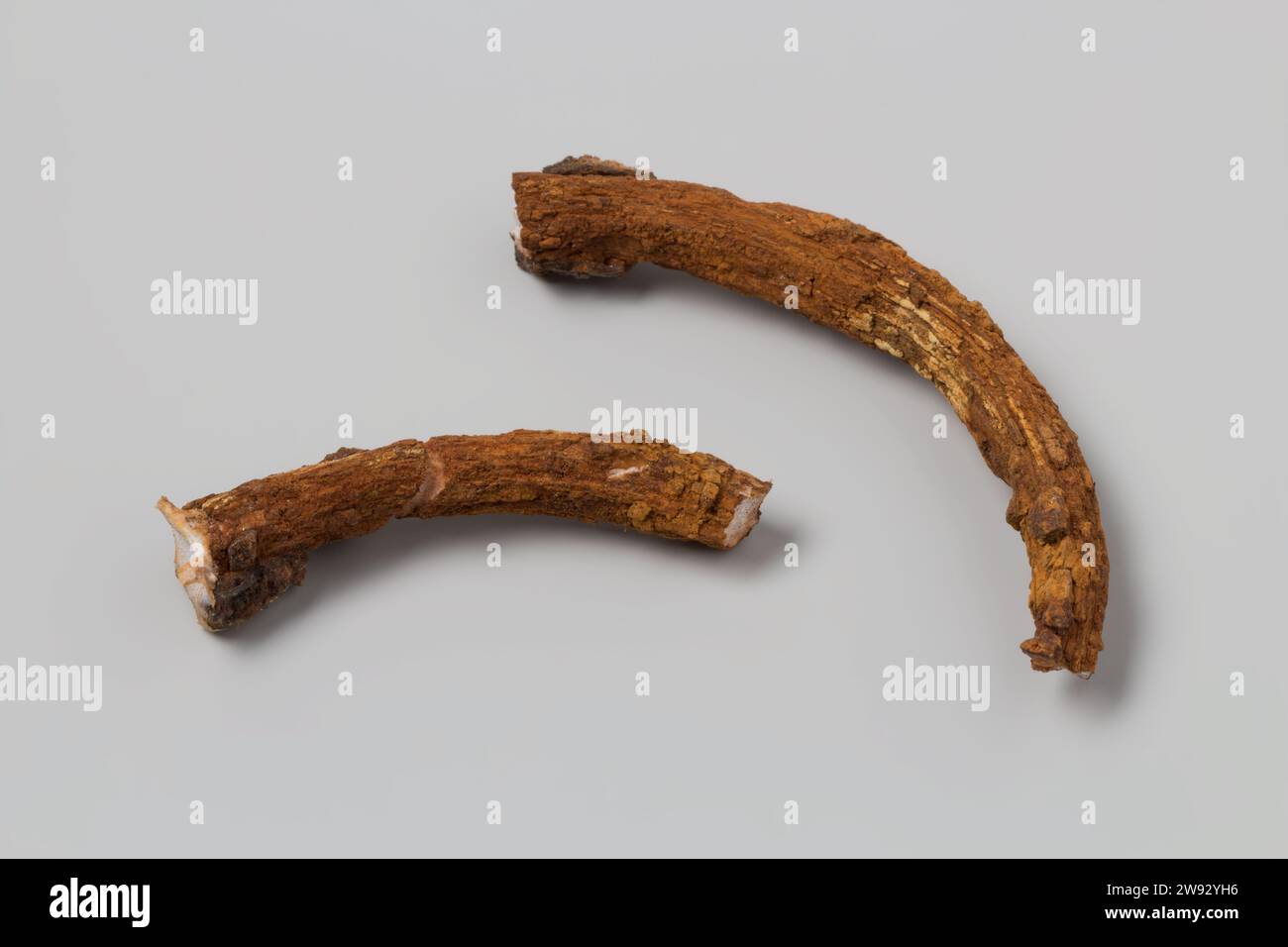 Semi round shape hi-res stock photography and images - Alamy